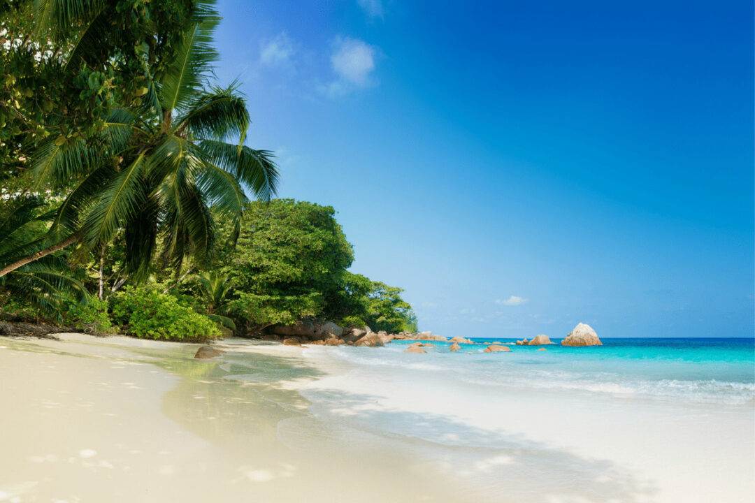 The Ultimate Guide To Muslim-Friendly Seychelles